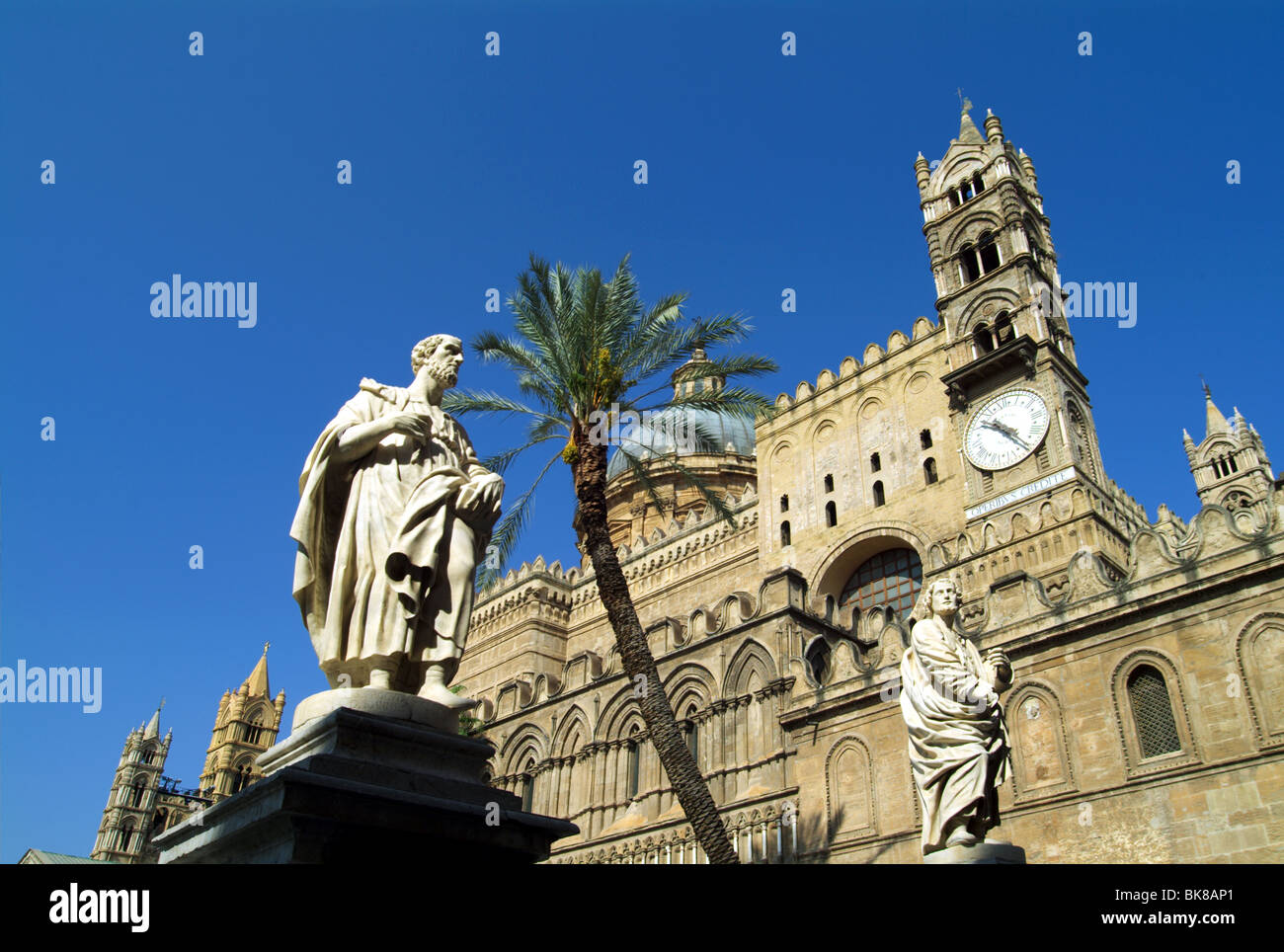 Cathedral & Palm Tree & Statue Stock Photo - Alamy