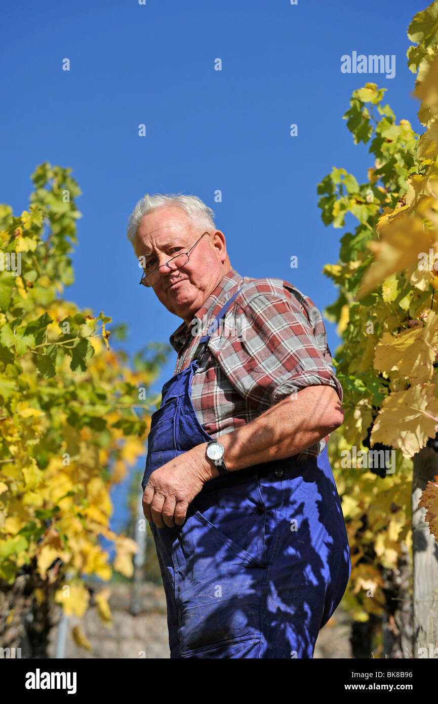 Trollinger hi-res stock photography and images - Alamy