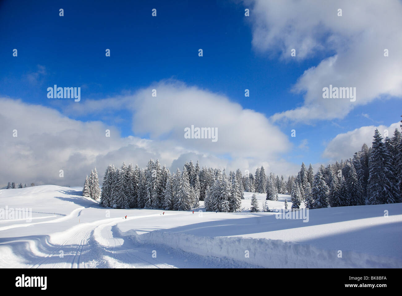 Winter landscape with cross-country ski run, Bavaria, Germany, Europe ...