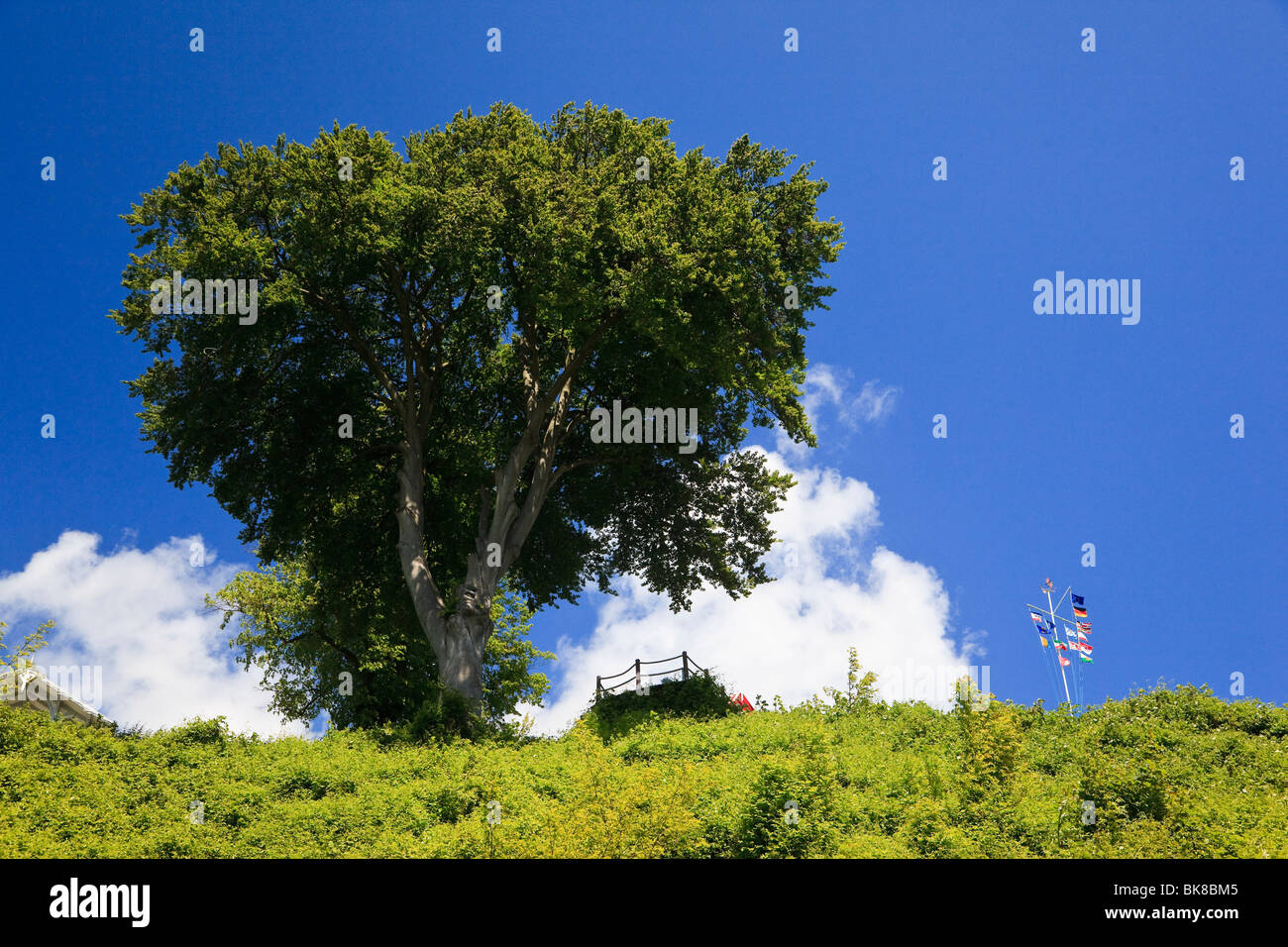 Europe flags hi-res stock photography and images - Alamy