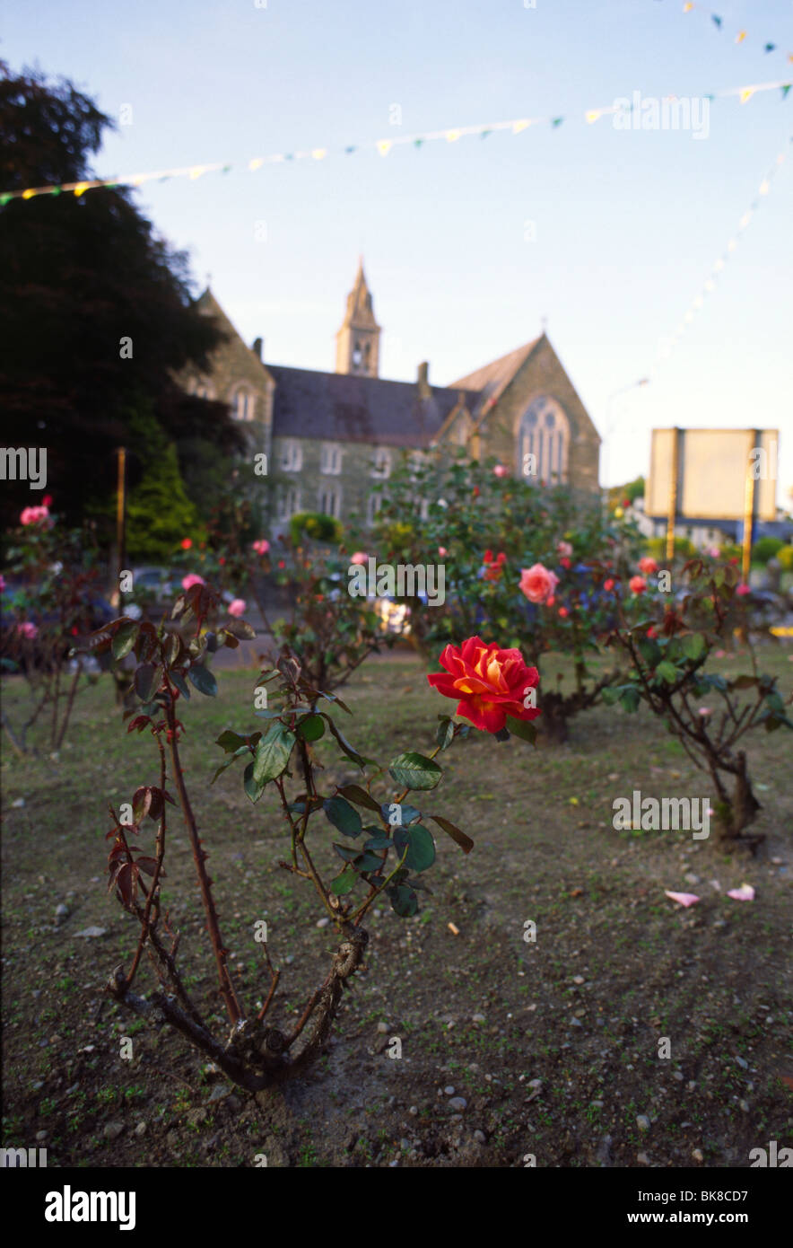 Franciscan friary, killarney hi-res stock photography and images - Alamy