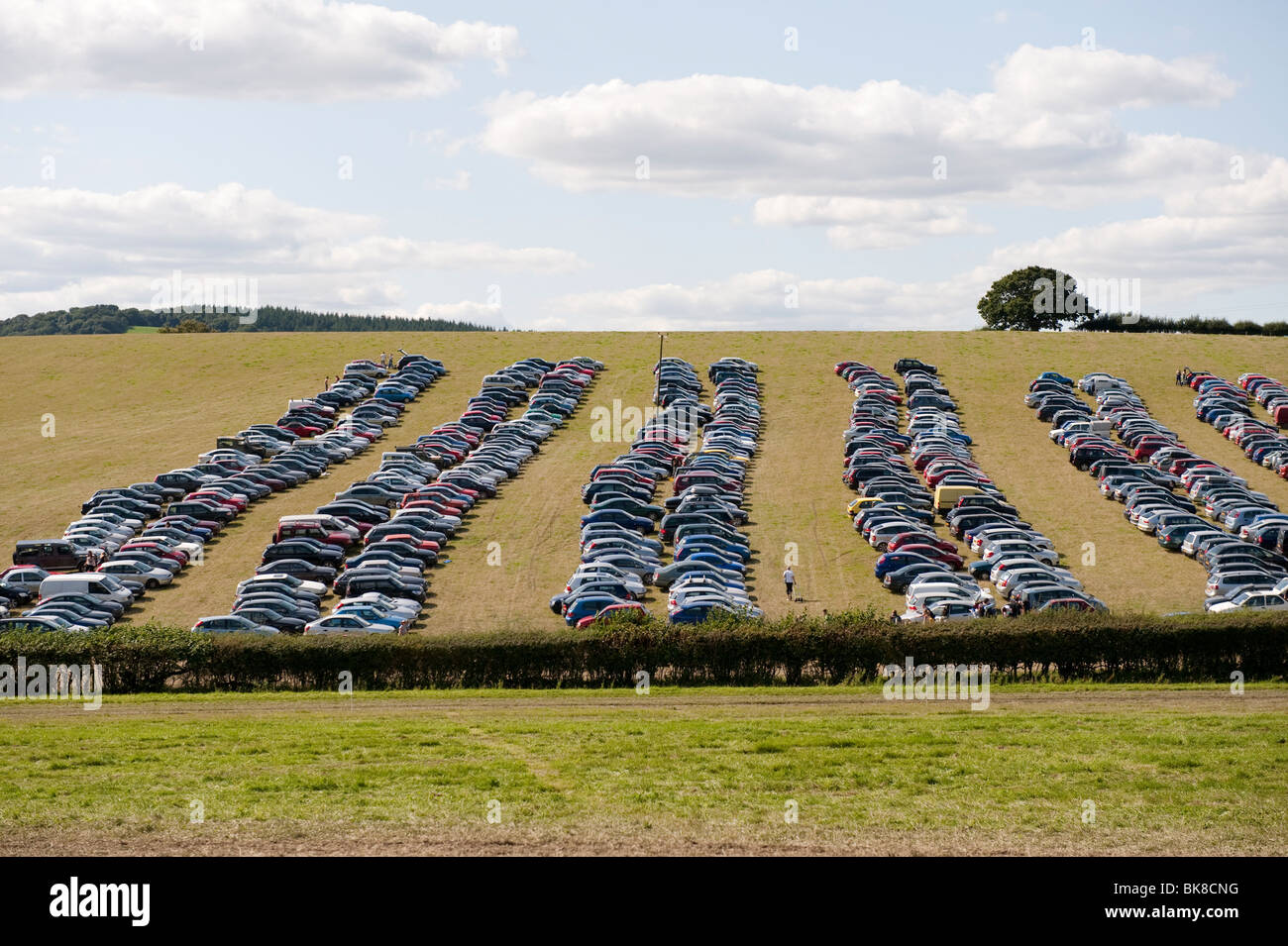 Rows of cars parked in field at country show Stock Photo - Alamy