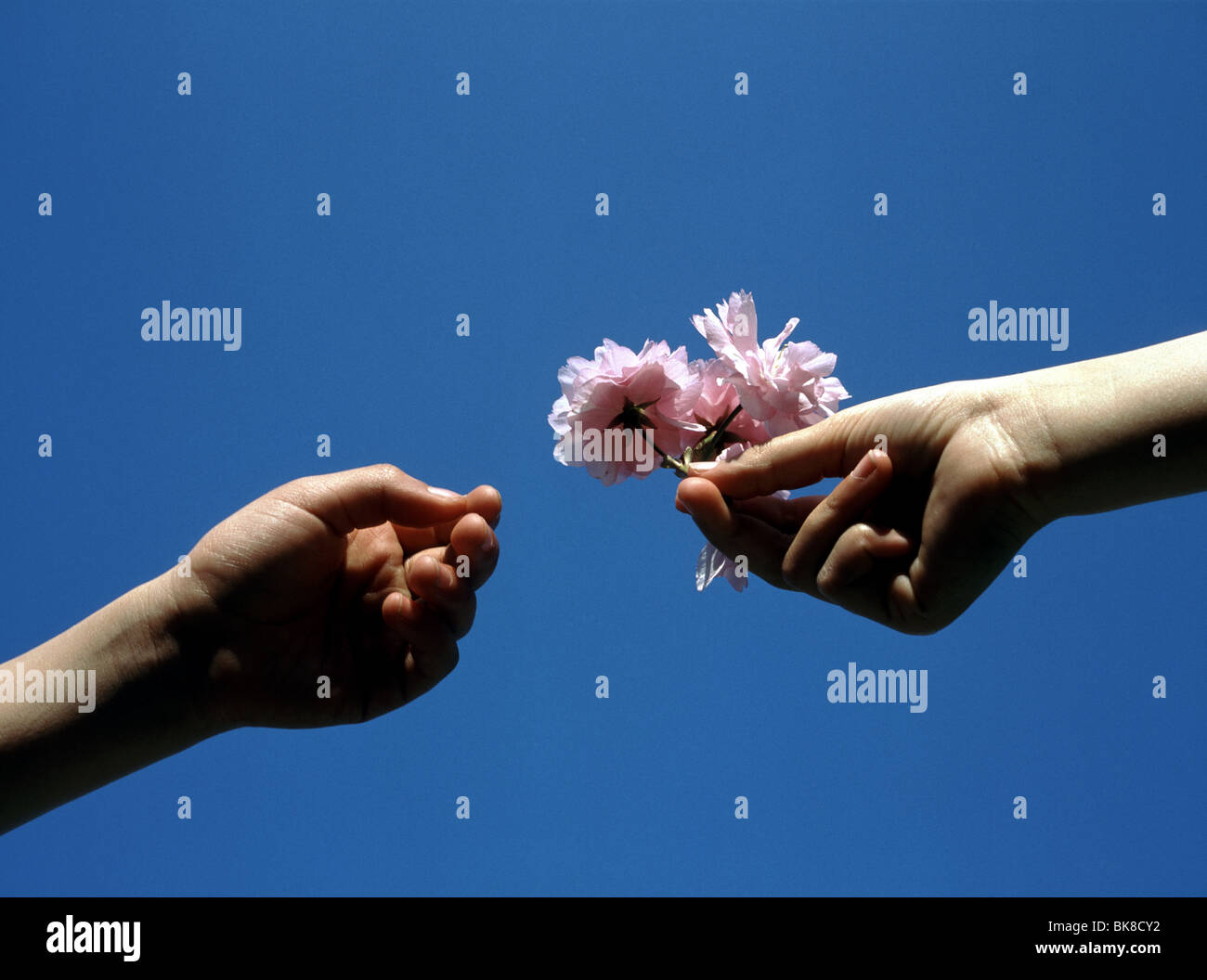Childrens flower hi-res stock photography and images - Alamy