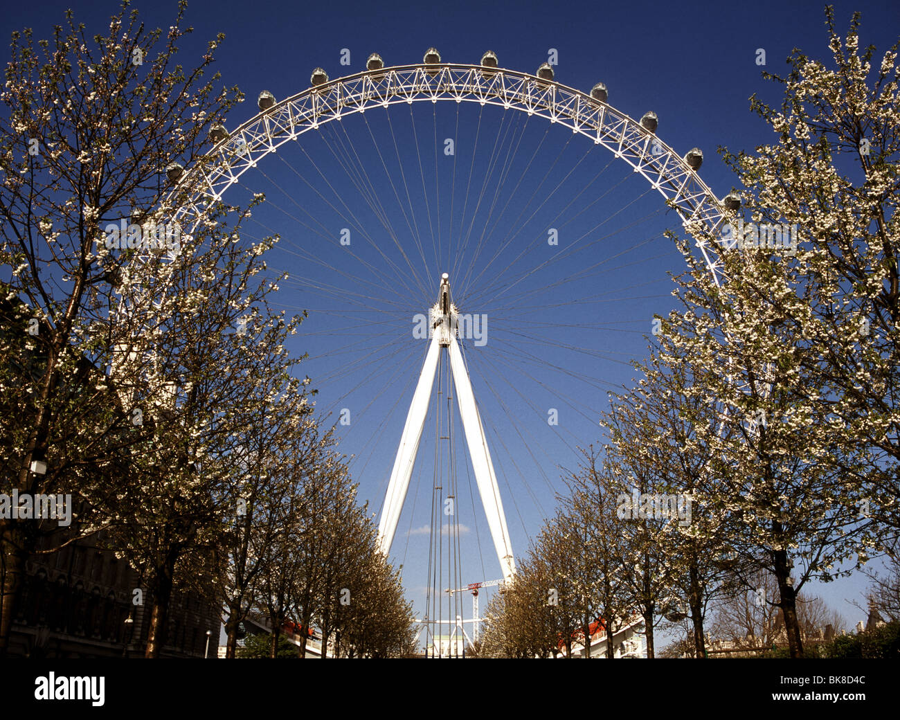 Millennium Eye In Spring, Day Stock Photo - Alamy