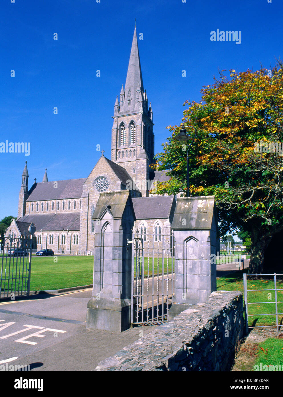 Cathedral killarney hi-res stock photography and images - Alamy