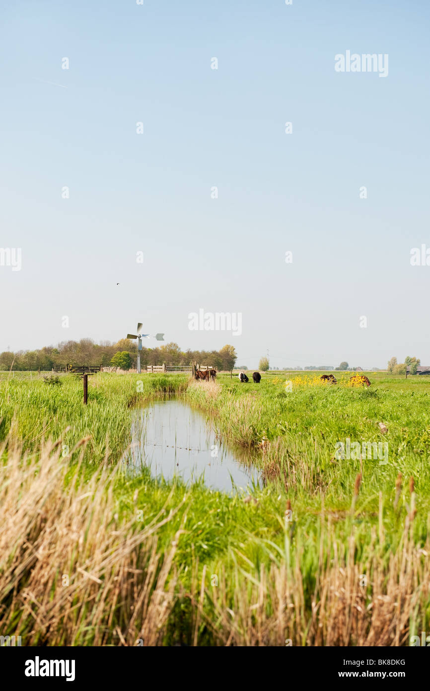 Dutch vertical hi-res stock photography and images - Alamy