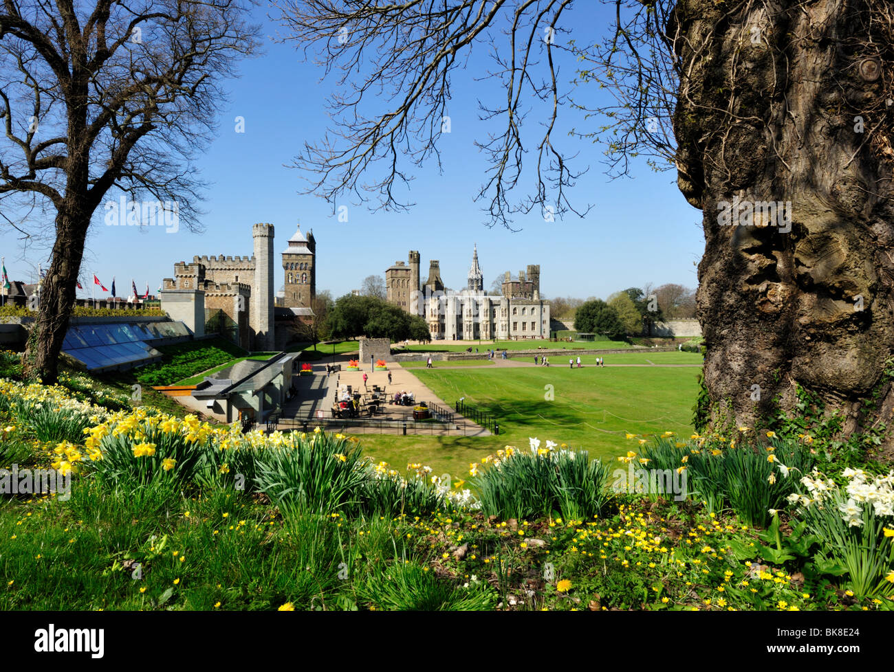 At cardiff castle hi-res stock photography and images - Alamy