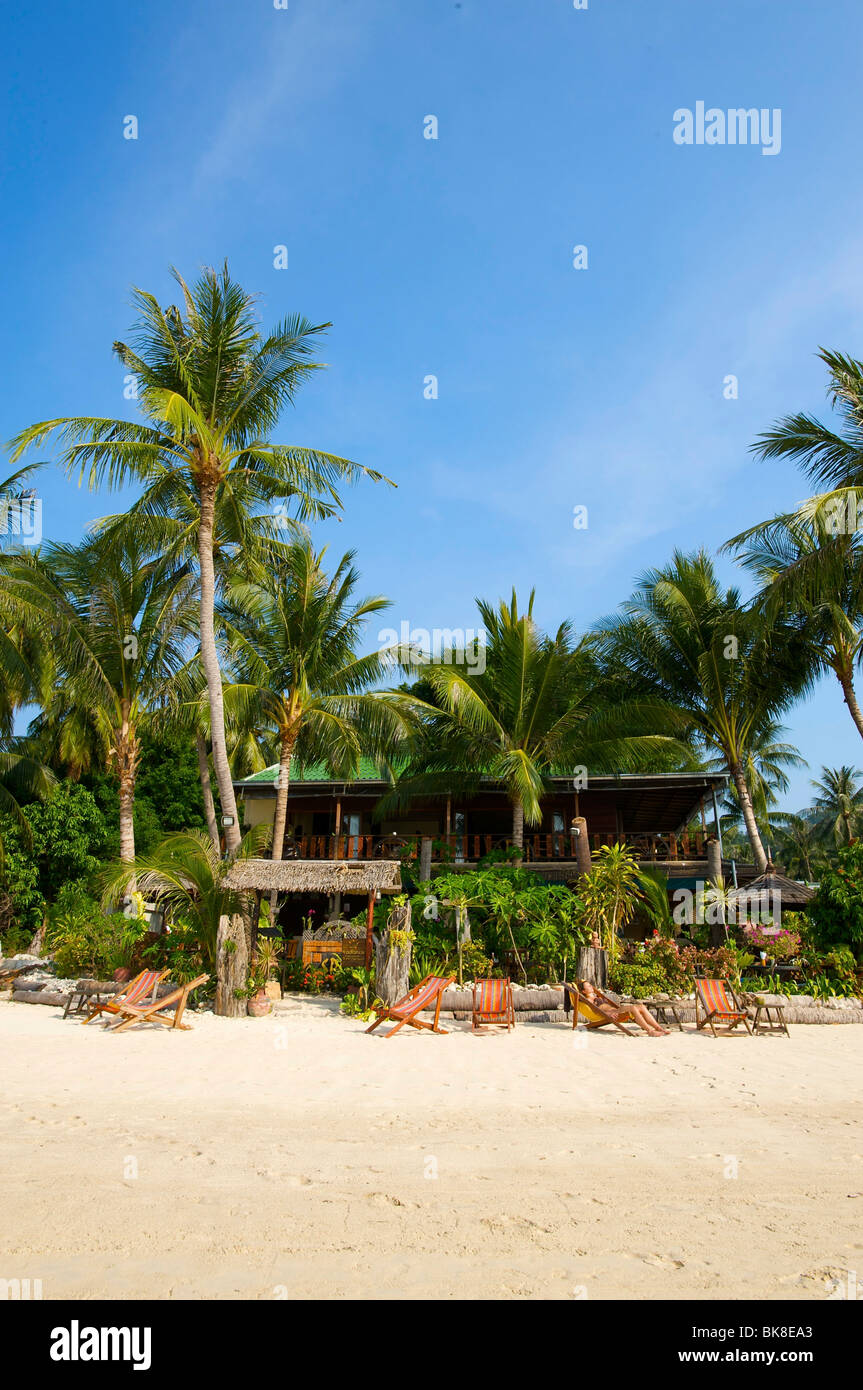Coconut trees lamai beach koh hi-res stock photography and images - Alamy