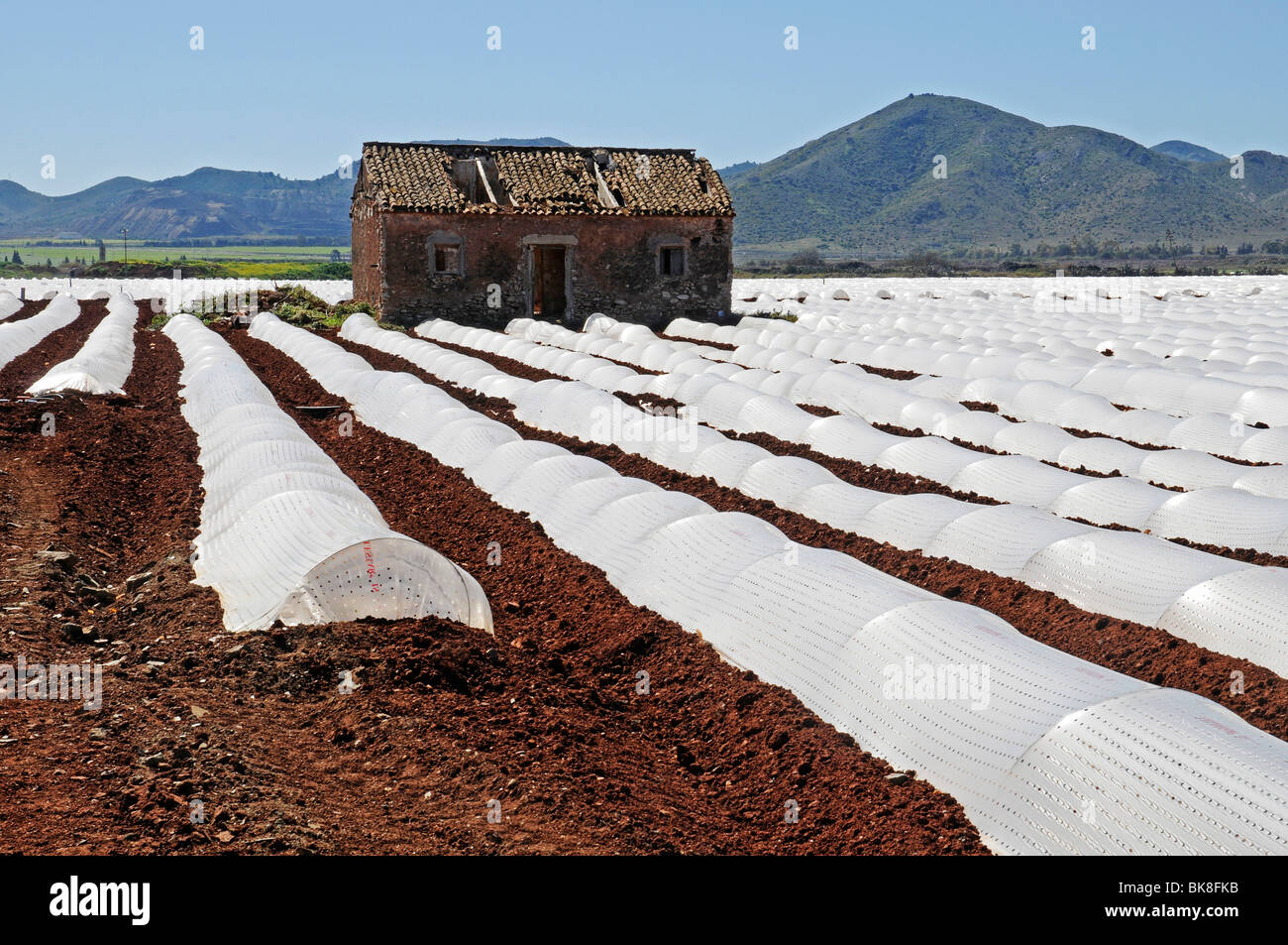 Arable land, cultivation, plantation, house, plastic sheeting ...
