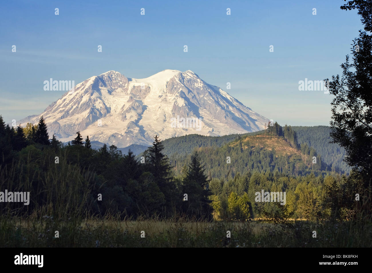 Mount Rainier, Washington, USA Stock Photo - Alamy