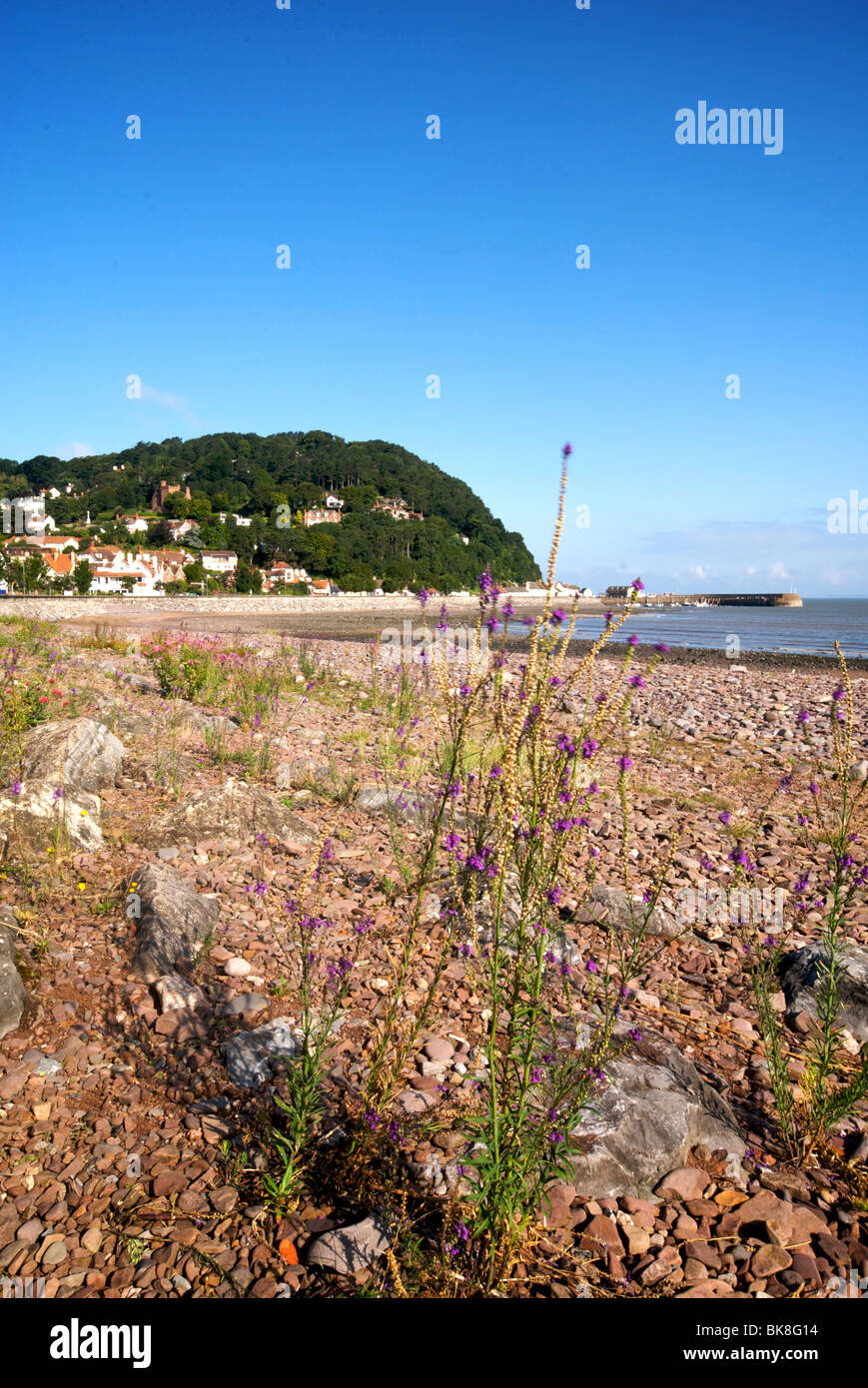Minehead Seafront Somerset UK Stock Photo - Alamy