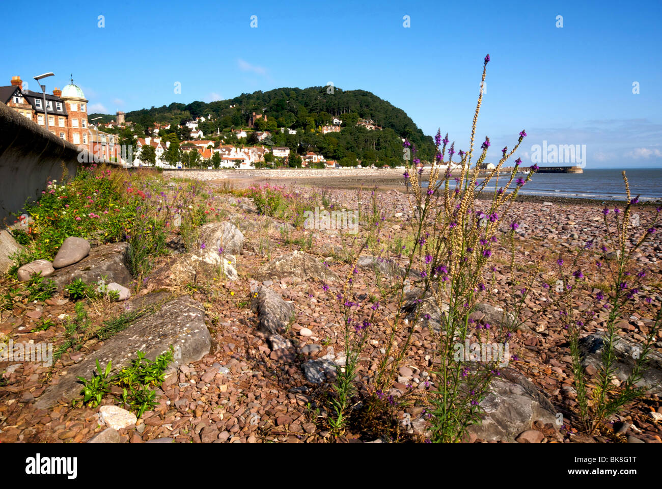 Minehead Seafront Somerset UK Stock Photo - Alamy