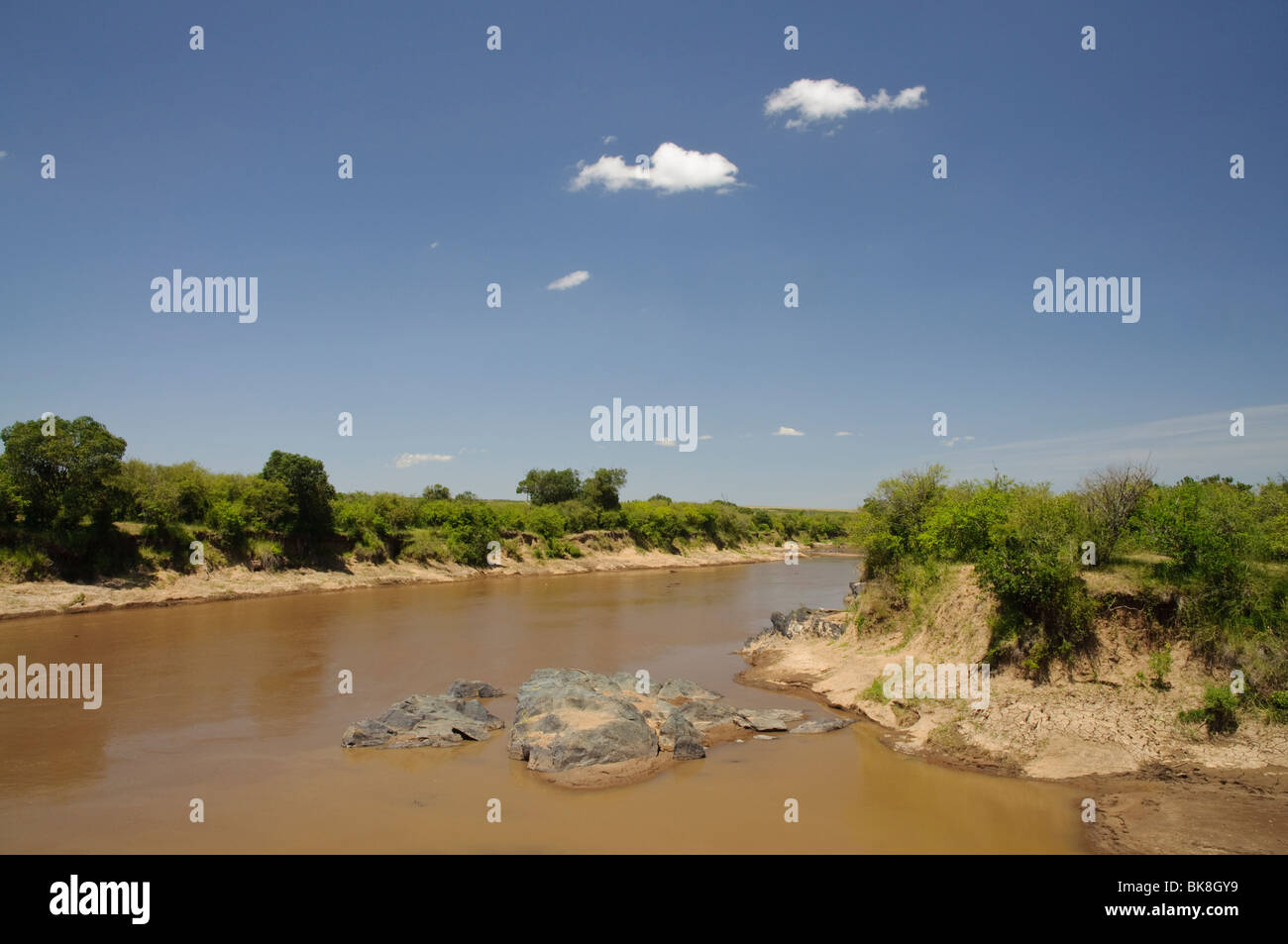 Borer river hi-res stock photography and images - Alamy