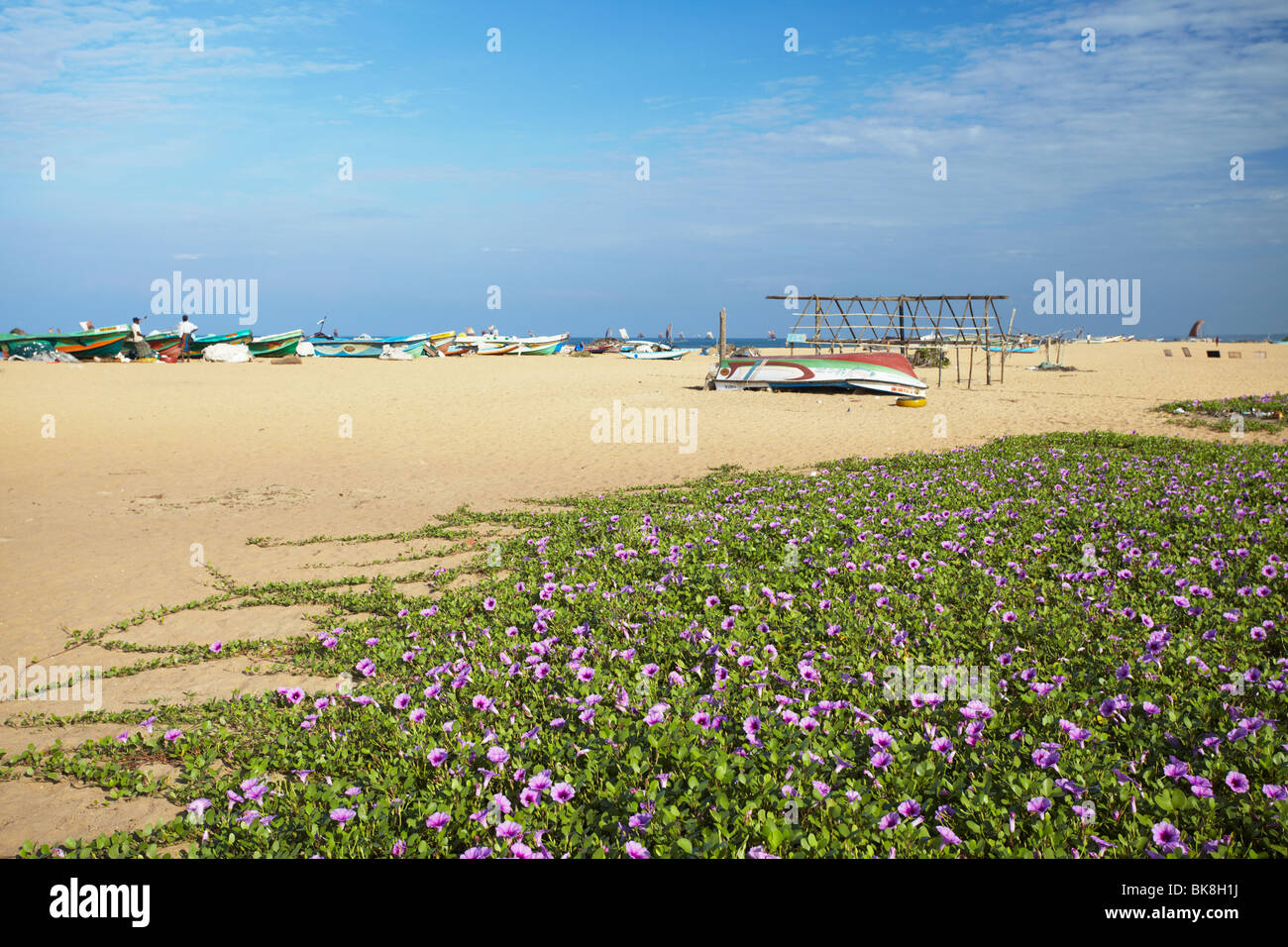 Negombo beach, Sri Lanka Stock Photo - Alamy