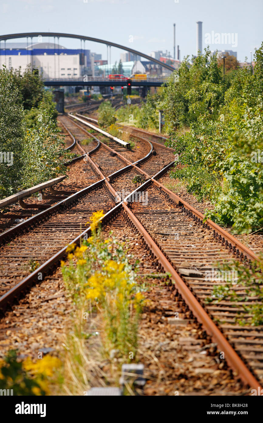 Berlin train tracks plants hi-res stock photography and images - Alamy