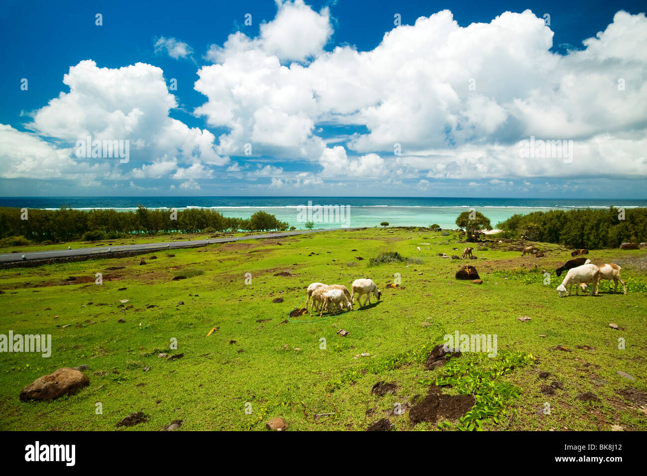 ROAD TO POINTE COTON, RODRIGUES ISLAND, MAURITIUS REPUBLIC Stock Photo ...