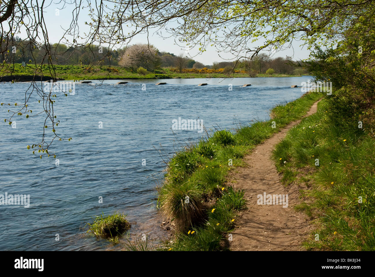 Dee fish hi-res stock photography and images - Alamy