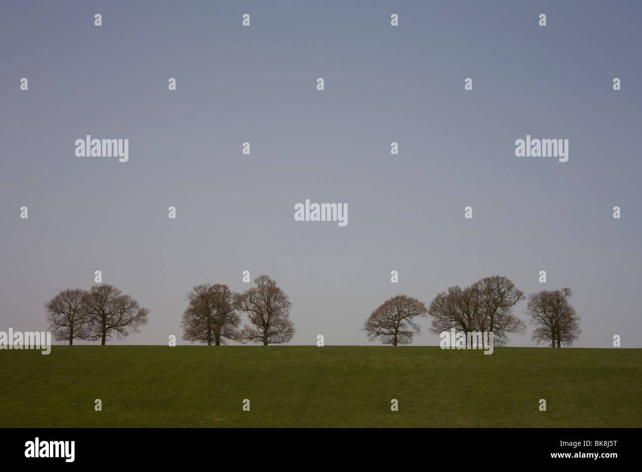 Distant trees and an English landscape Stock Photo - Alamy