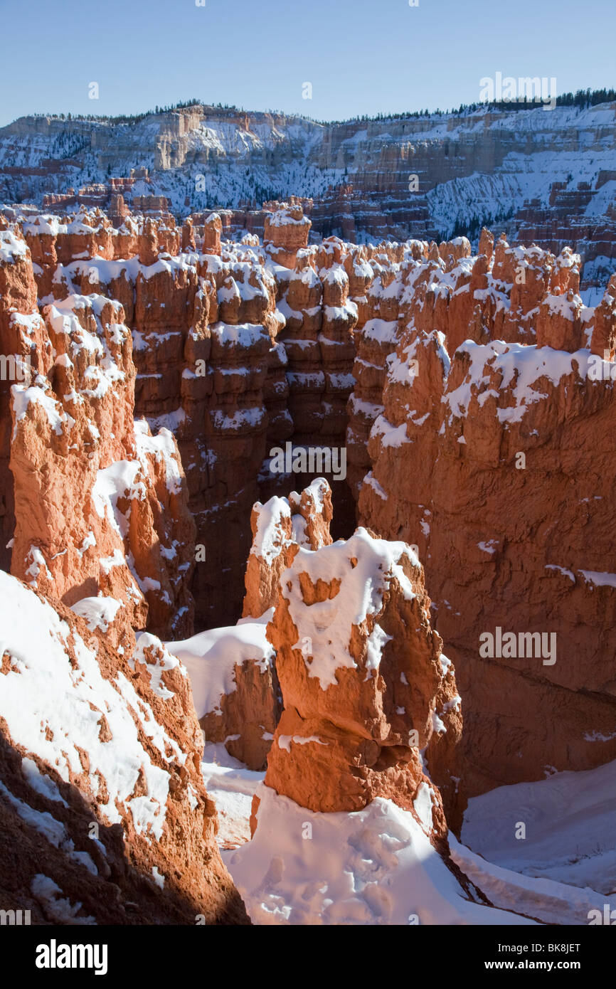 Hiking navajo loop trail hi-res stock photography and images - Alamy