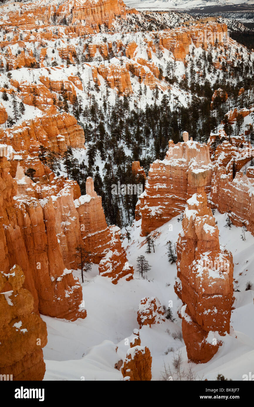 View along the Navajo Loop trail at Bryce Canyon National Park, Utah ...