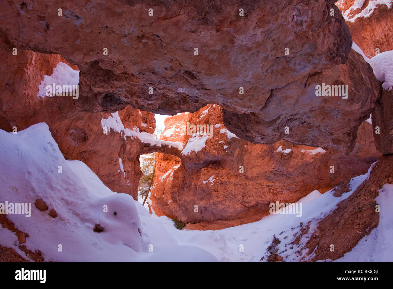 In Bryce Canyon National Park, Utah, the forces of erosion, wind, and ...