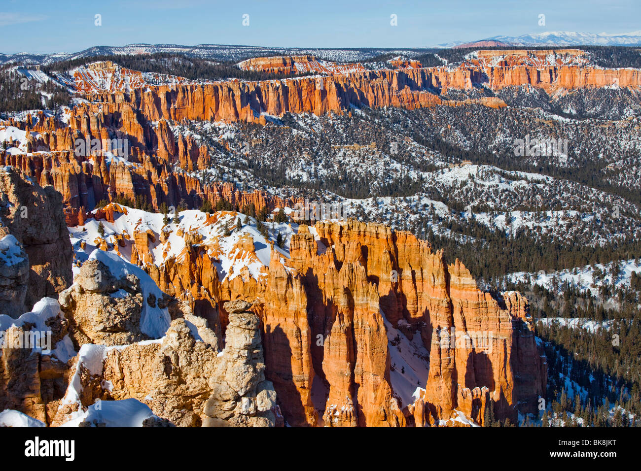 As viewed from Rainbow Point, thin, protruding spires of rock, hoodoos ...