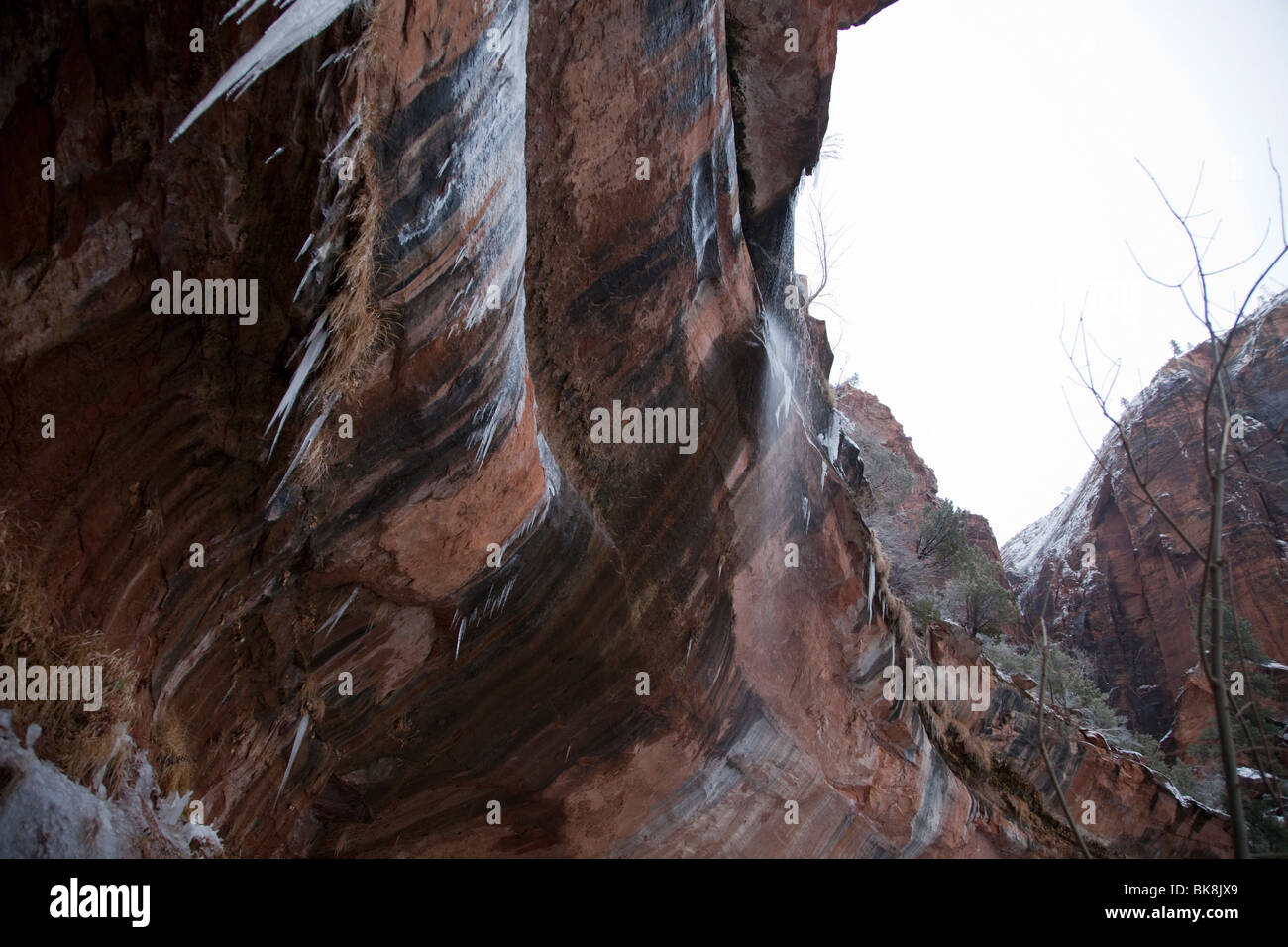At the Lower Emerald Pools in southern Utah's famed Zion National Park ...