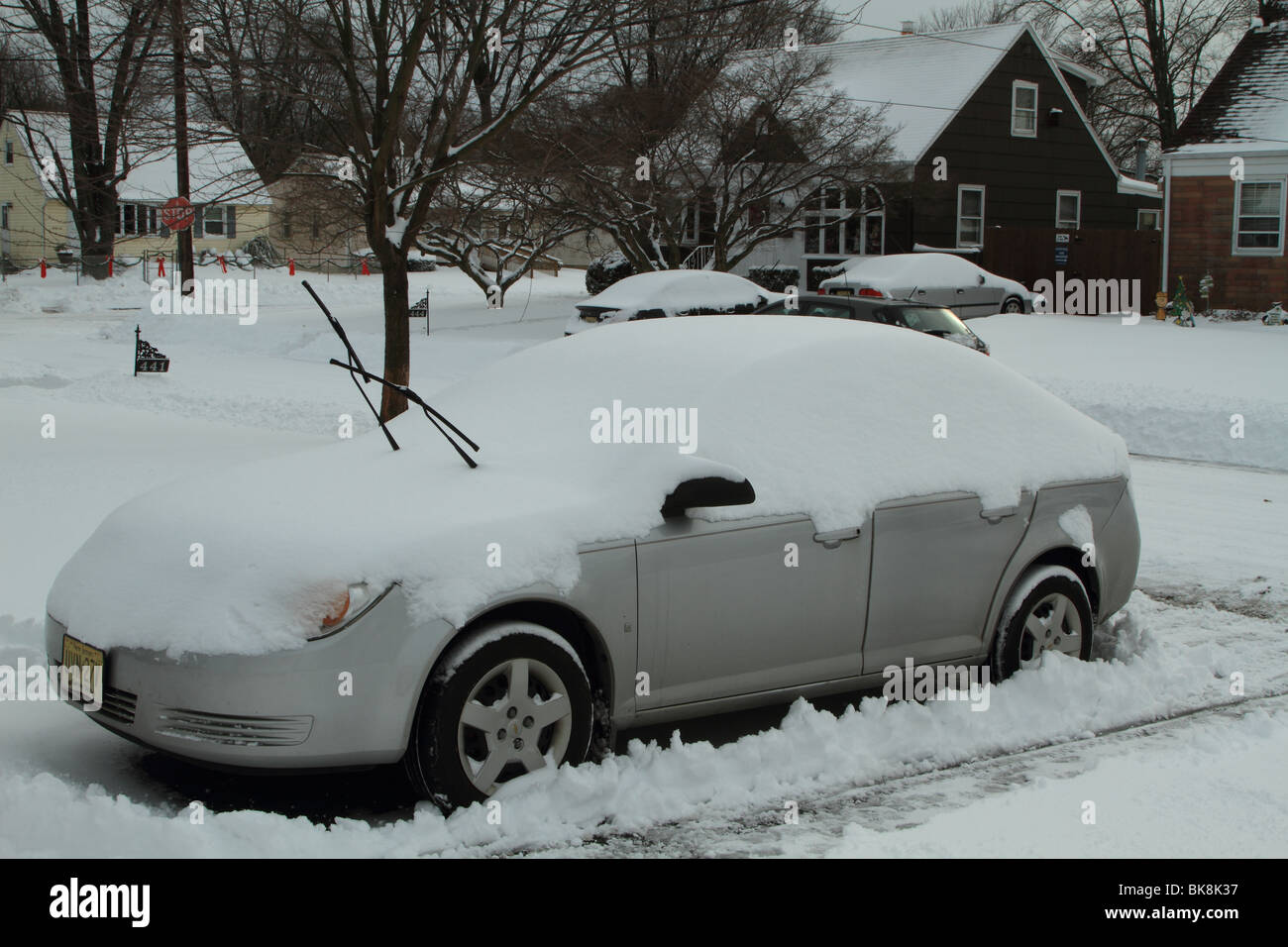 Cobalt in snow Stock Photo - Alamy