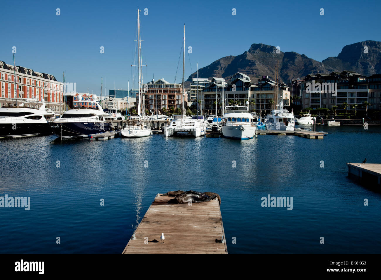 Port basin hi-res stock photography and images - Alamy