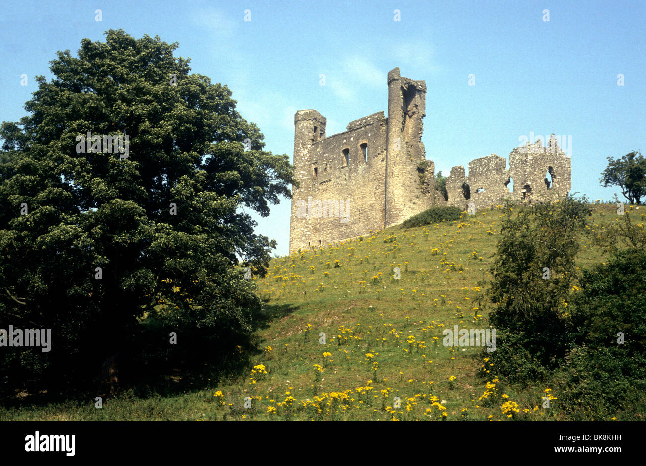 Dunmoe Castle, Navan County Meath, Ireland Eire Irish castles 15th ...