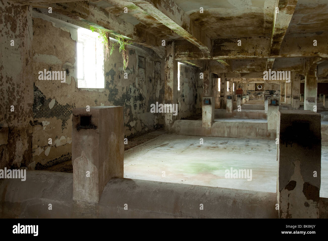 Abandoned factory hall hi-res stock photography and images - Alamy