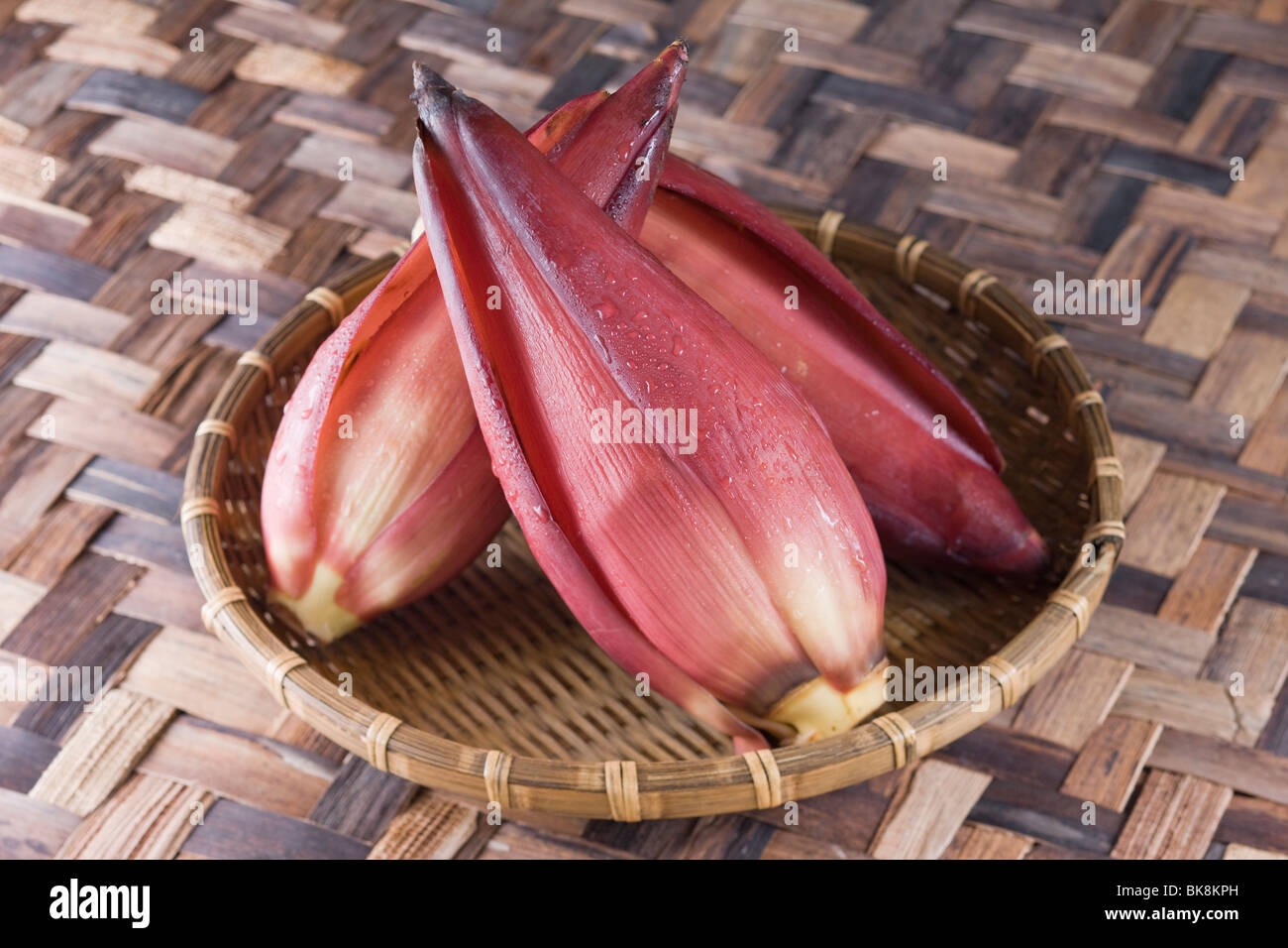 Plee hi-res stock photography and images - Alamy
