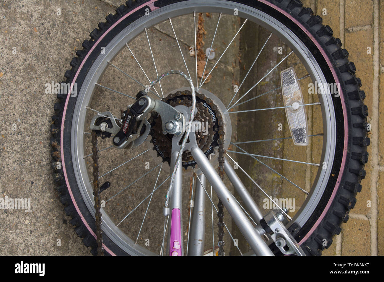 bicycle rear wheel Stock Photo - Alamy