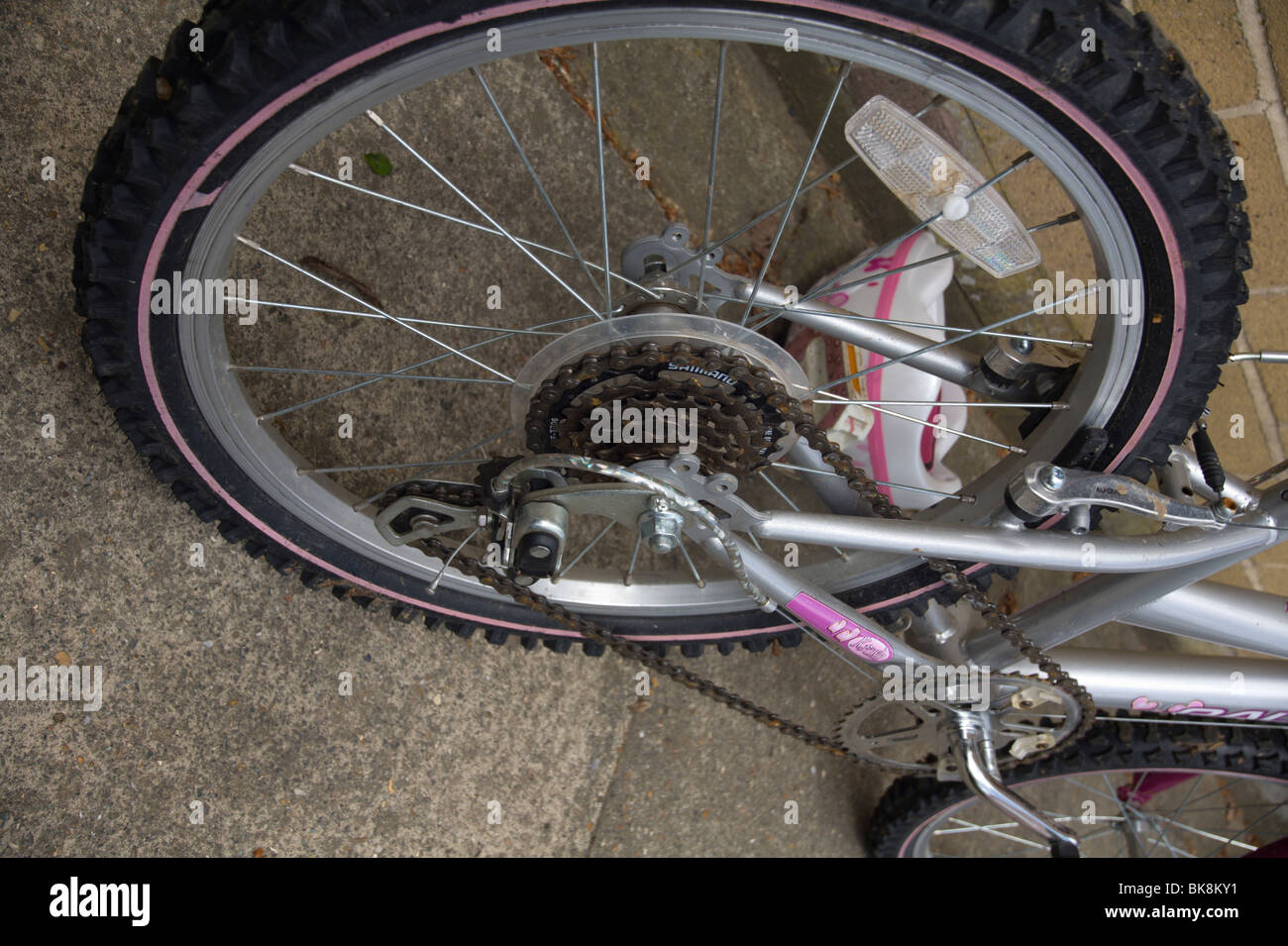 bicycle rear wheel Stock Photo - Alamy