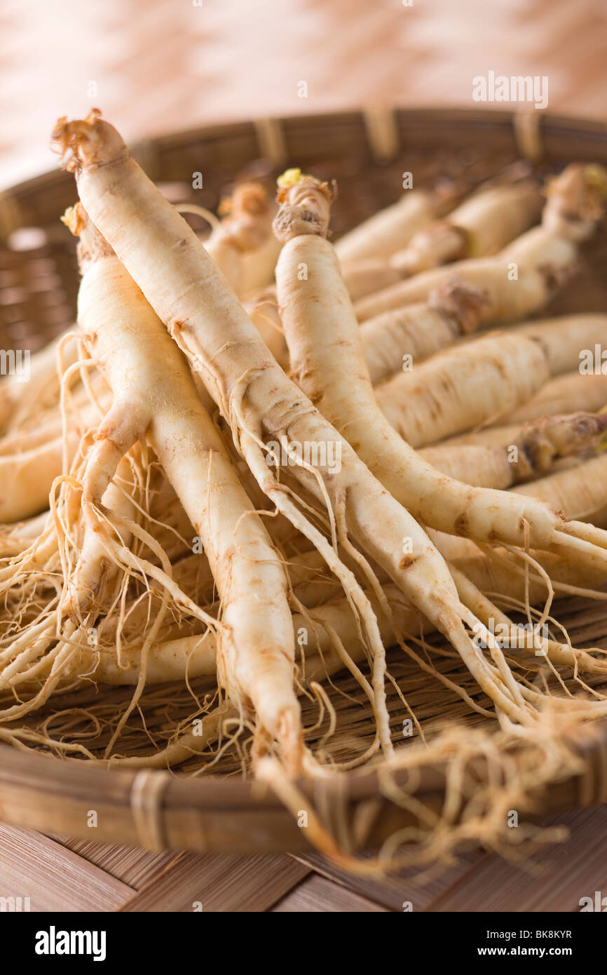 Insam hi-res stock photography and images - Alamy