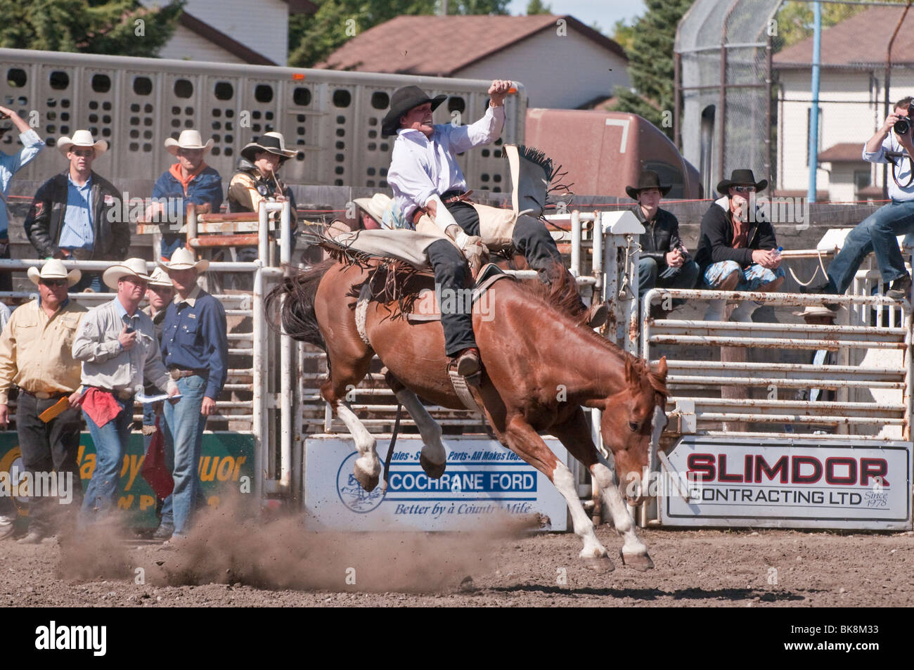 Cowboy, bareback bronc riding, Cochrane Rodeo, Cochrane, Alberta ...