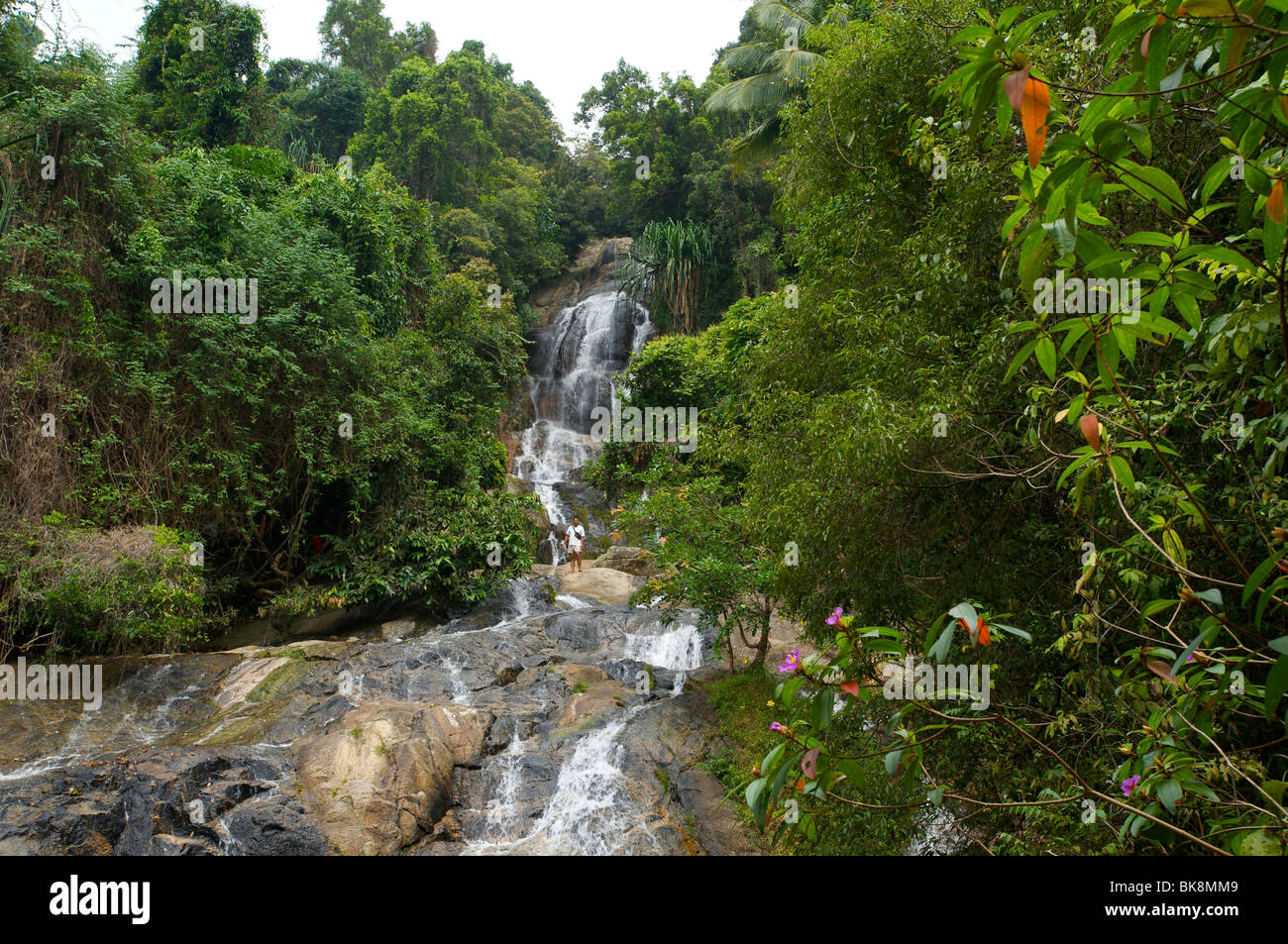 Wasserfall island hi-res stock photography and images - Alamy