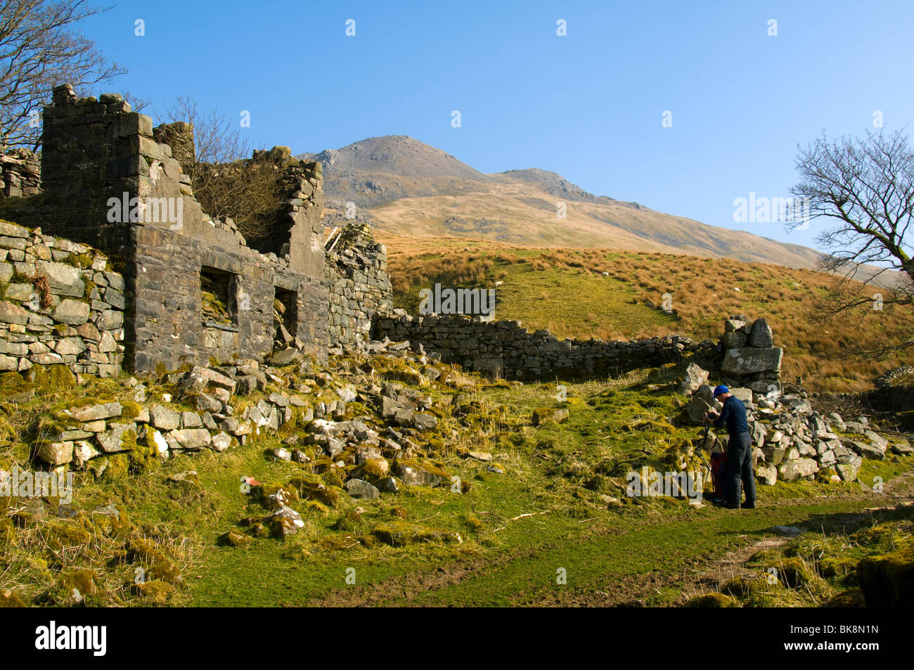 Arenig Fawr from the ruined farm at Amnodd-wen, in the Arenig hills ...
