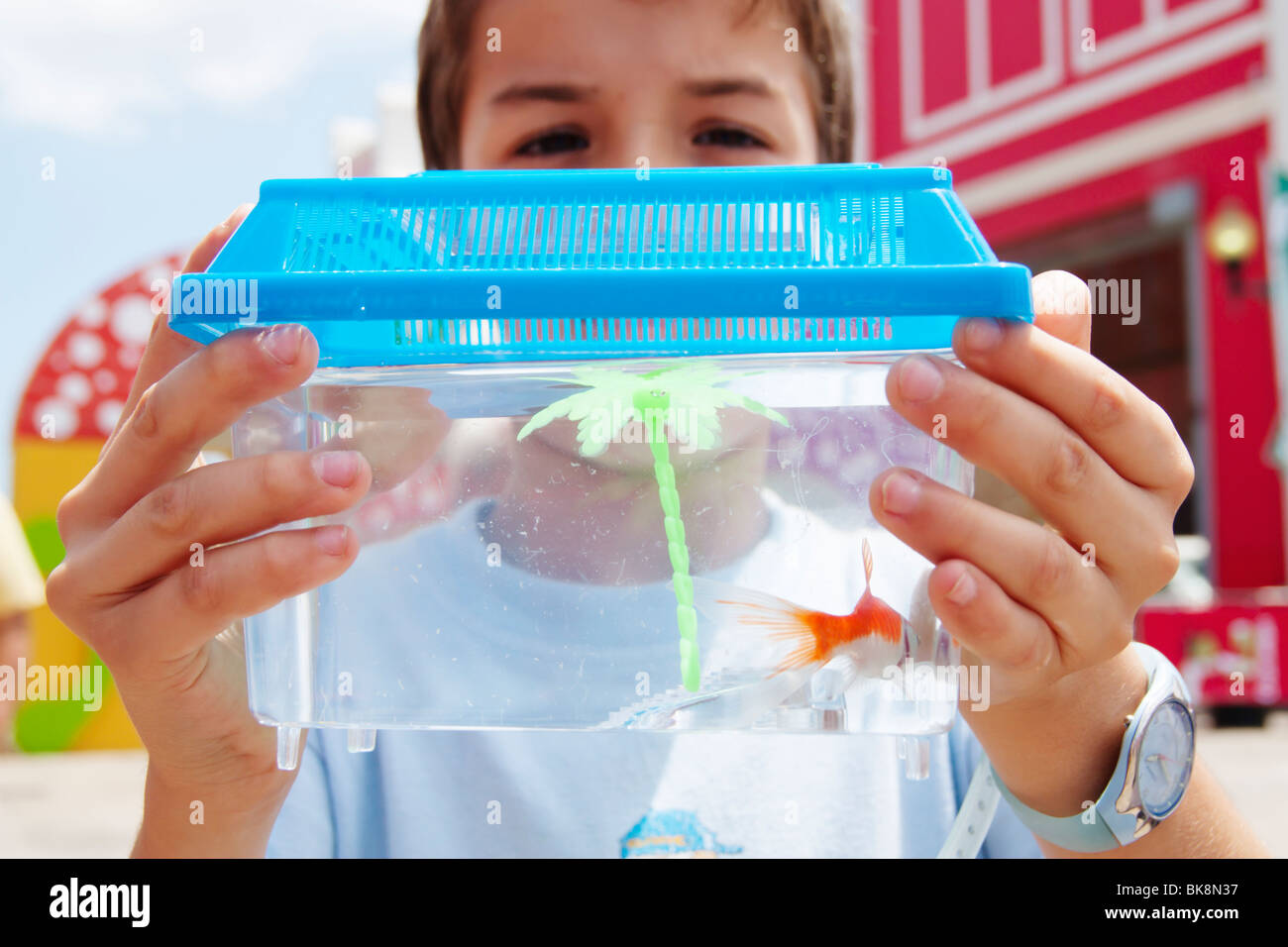 Goldfish bowl hi-res stock photography and images - Alamy