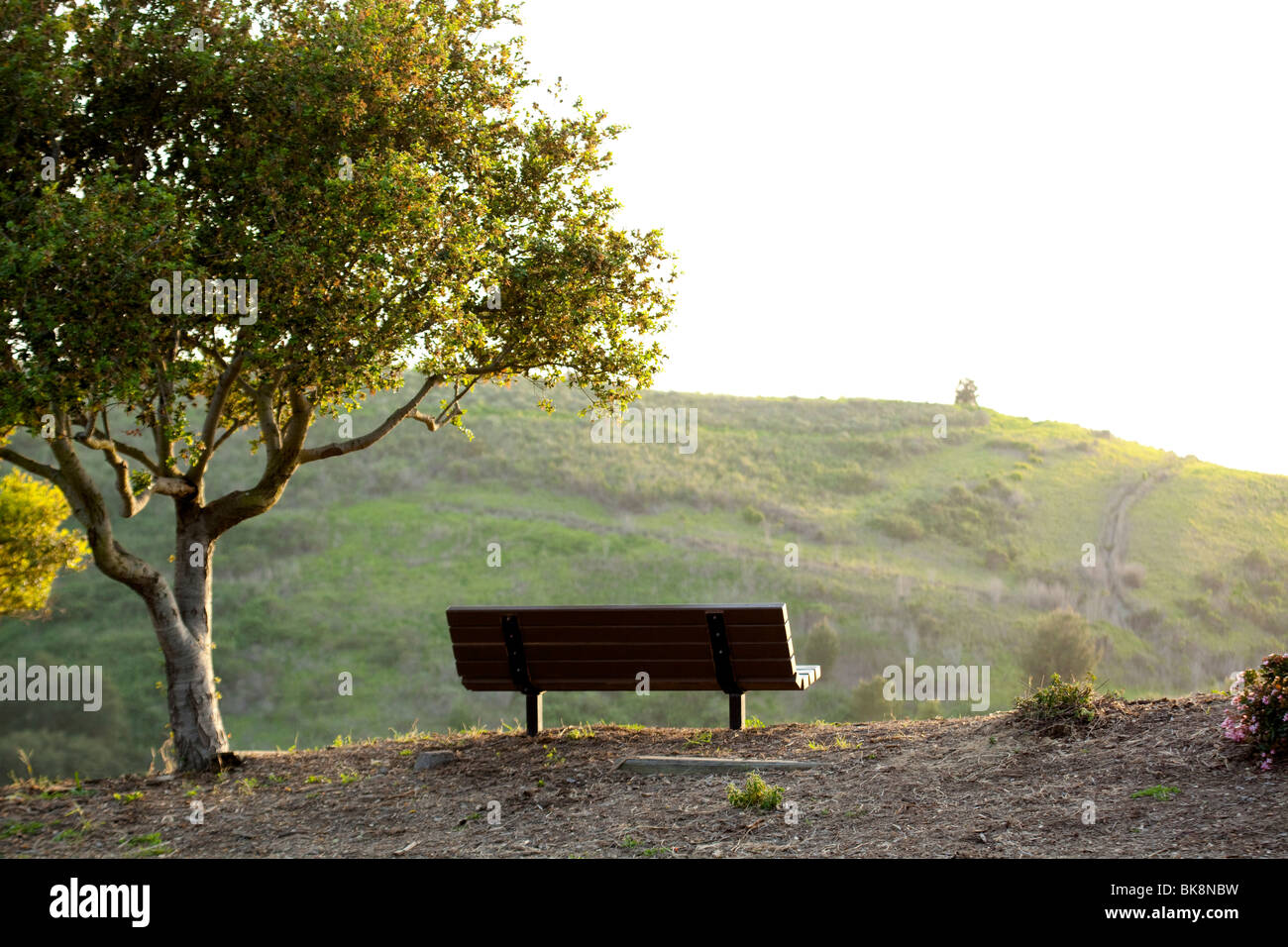 bench with a view Stock Photo - Alamy