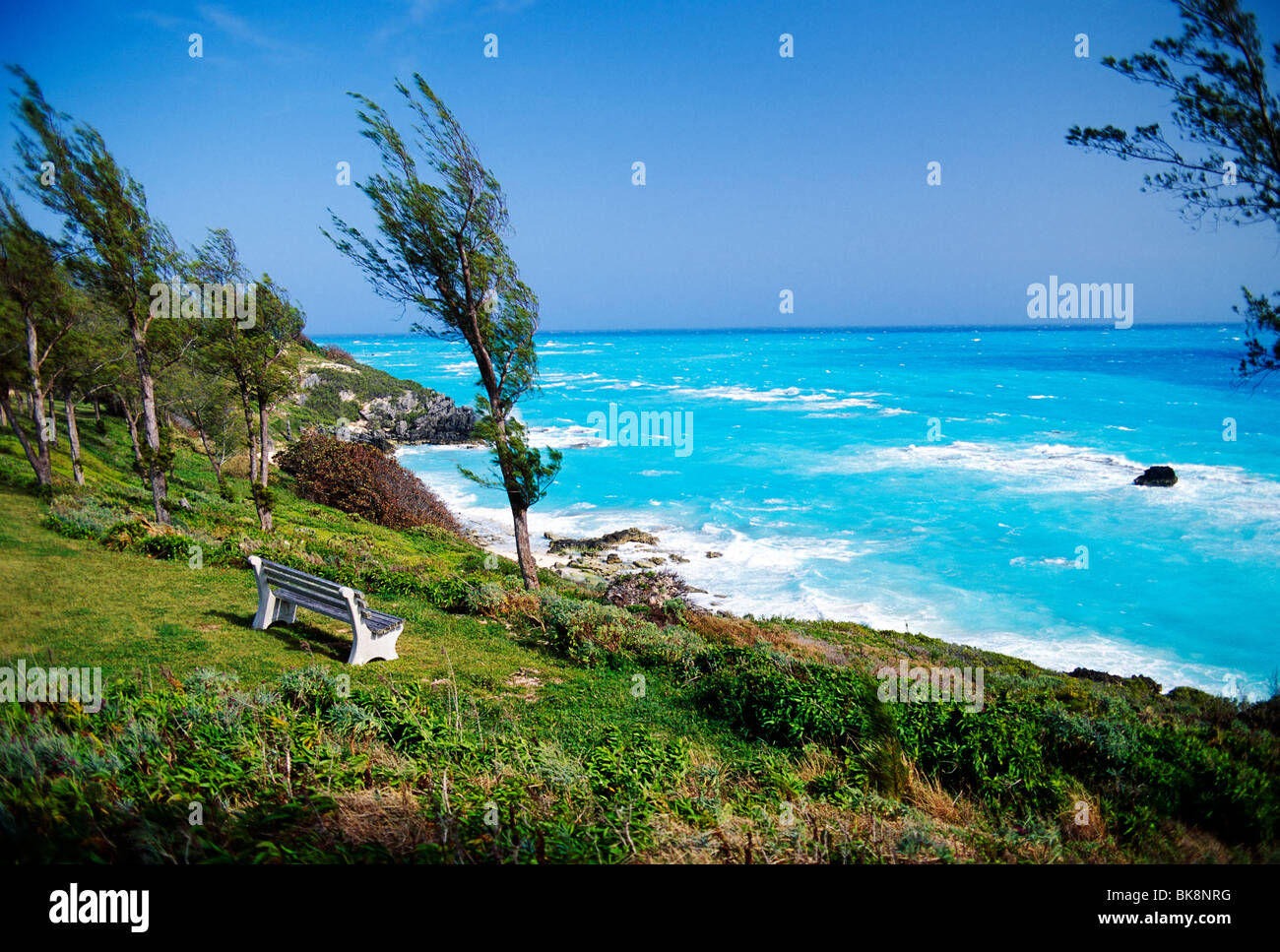 Beautiful bermuda beach scene hi-res stock photography and images - Alamy
