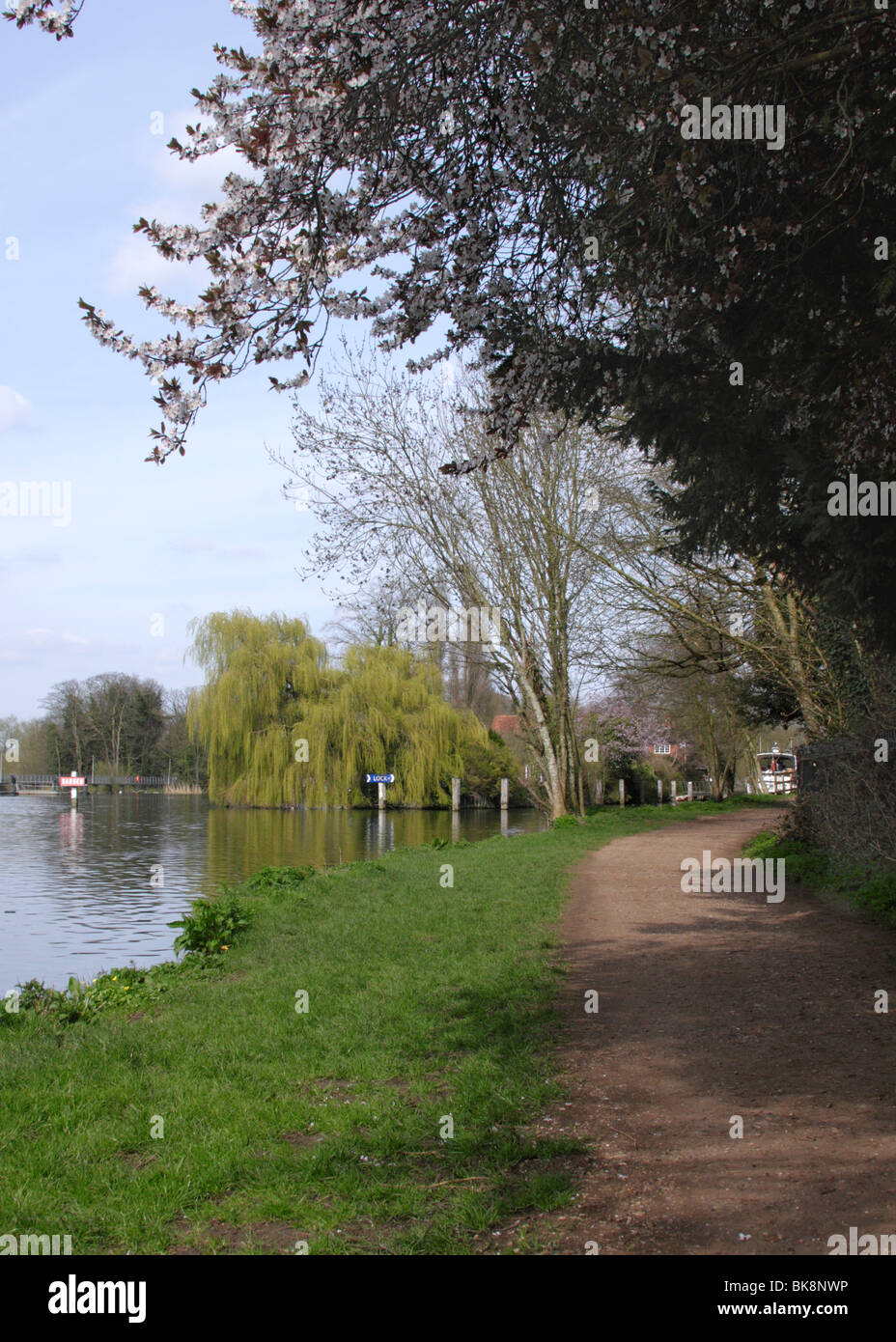 Spring river thames hi-res stock photography and images - Alamy