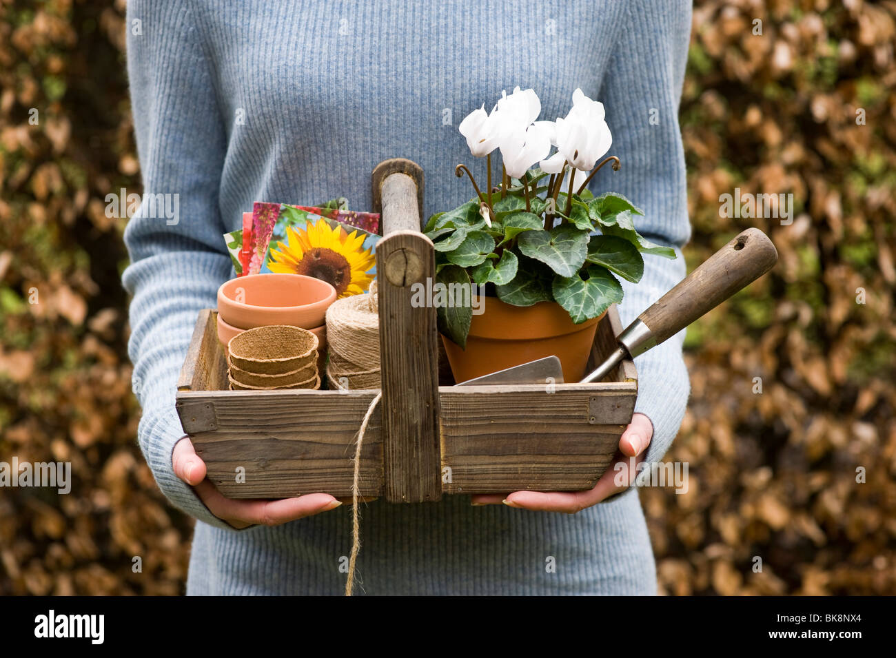 Wooden garden trug hi-res stock photography and images - Alamy