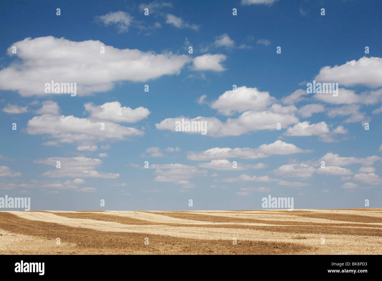 Cut lines hi-res stock photography and images - Alamy