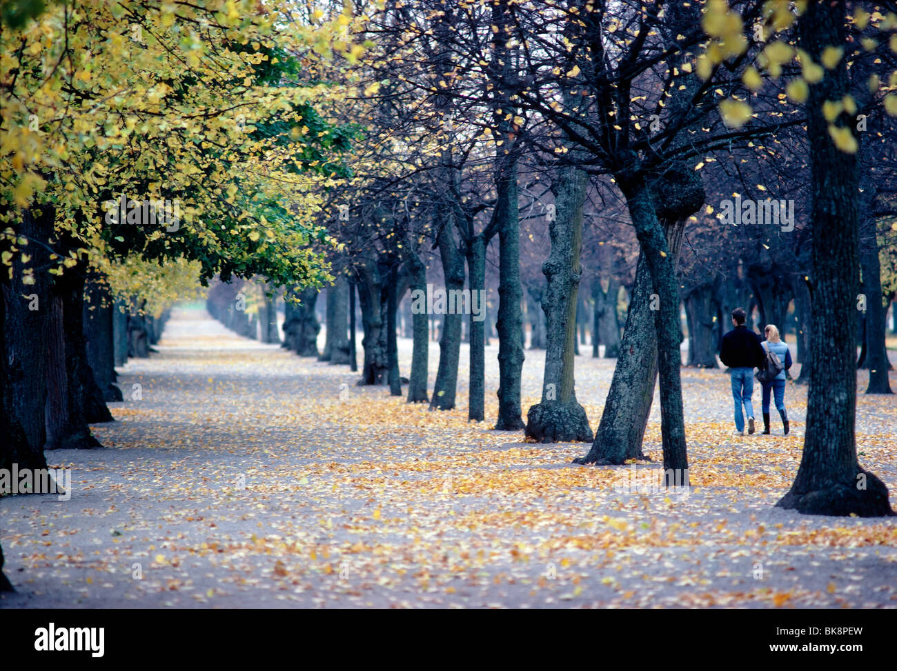 Walking park exercise stroll autumn hi-res stock photography and images ...