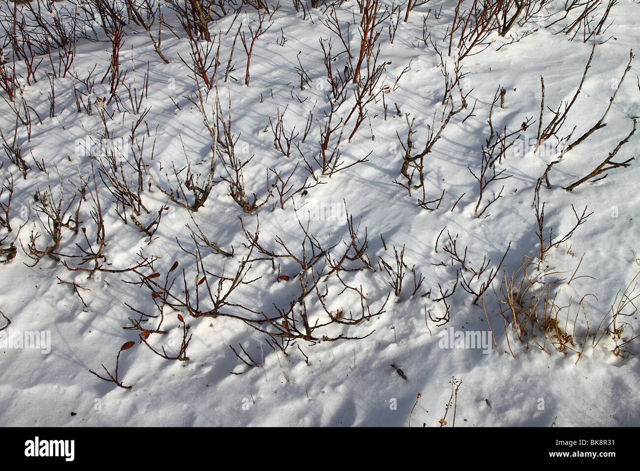 Ice and Snow Stock Photo - Alamy
