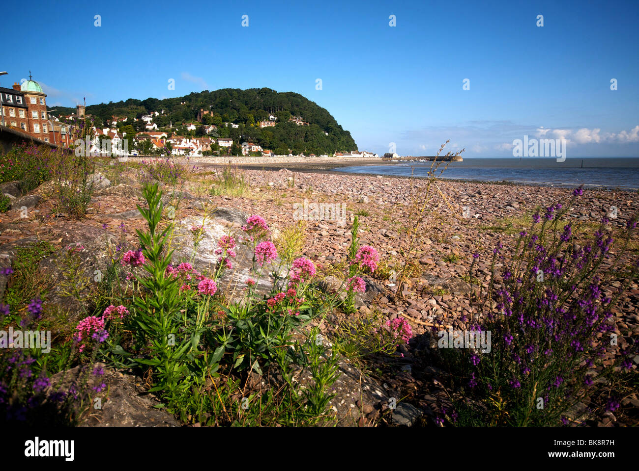 Minehead Seafront Somerset UK Stock Photo - Alamy