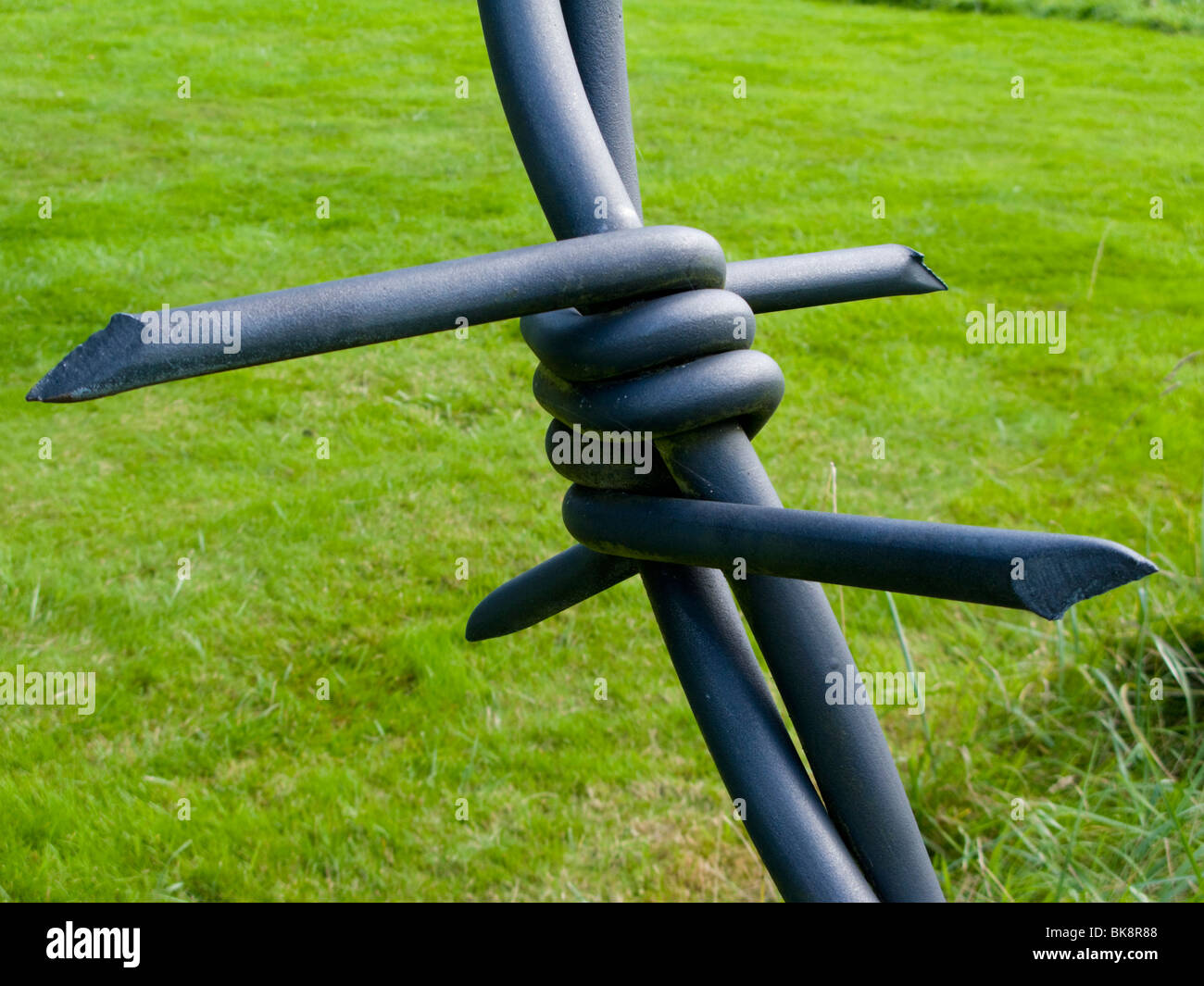 Detail of a barb from a barbed wire sculpture for the garden. Fire and ...