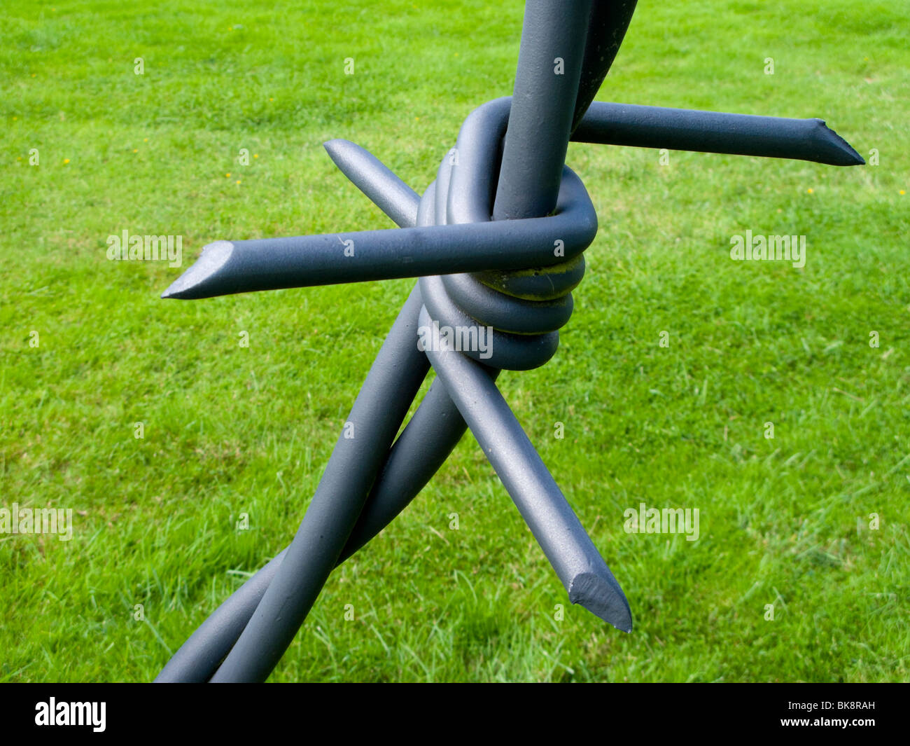 Detail of a barb from a barbed wire sculpture for the garden. Fire and ...