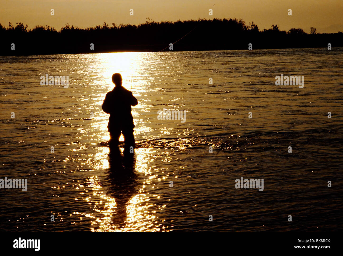 American tourist fishing for Arctic Greyling, Belaya River, Chukchi ...